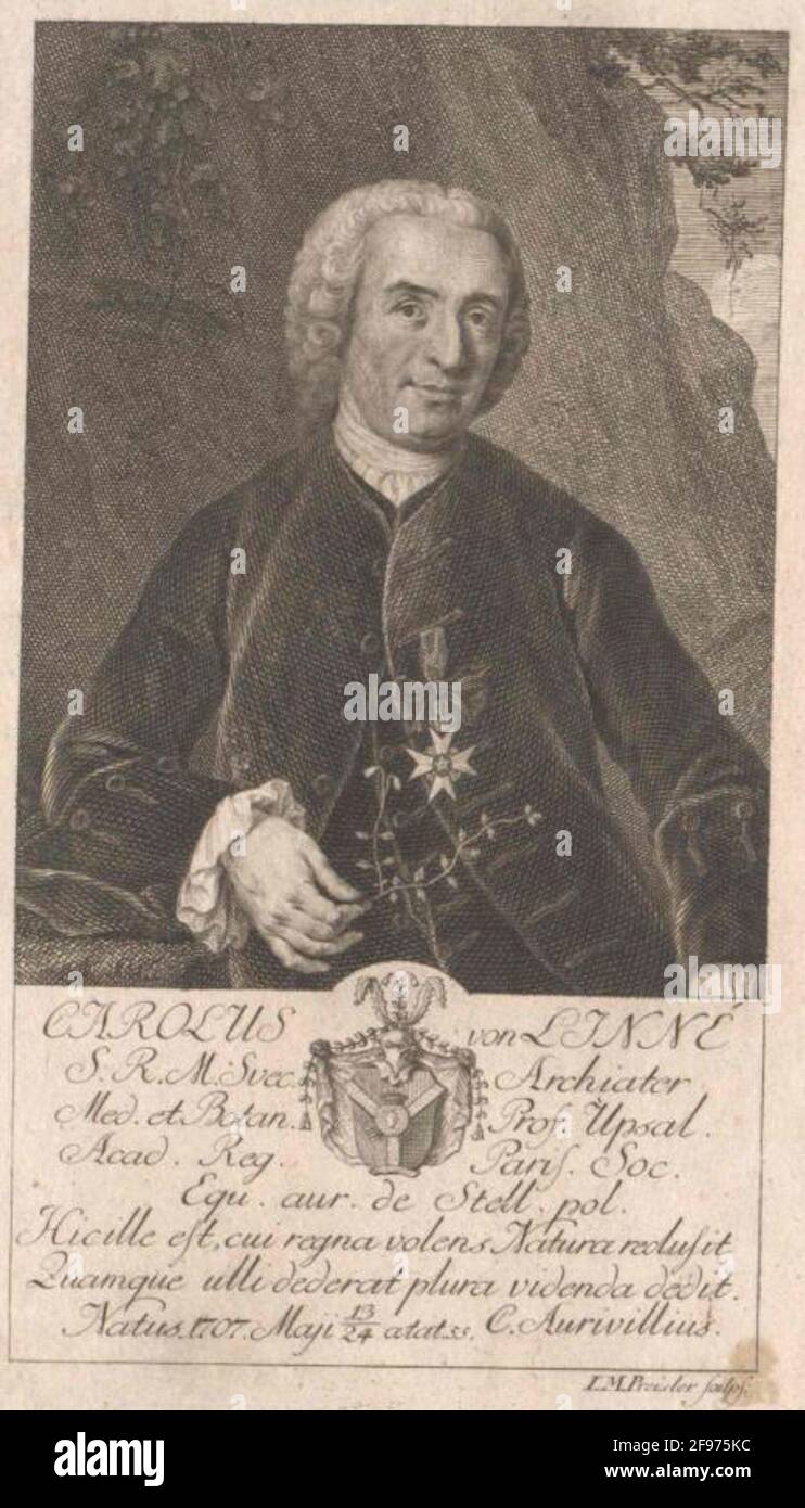 Linné, Charles of Stecher: Prißler, Johann Martin Stock Photo - Alamy