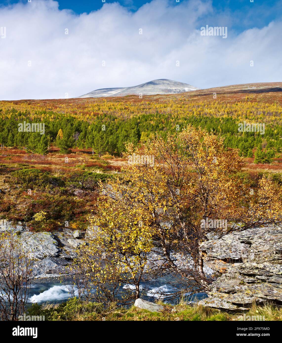 Europe, Norway, Oppland, Lom, Jotunheimen National Park, autumn ...