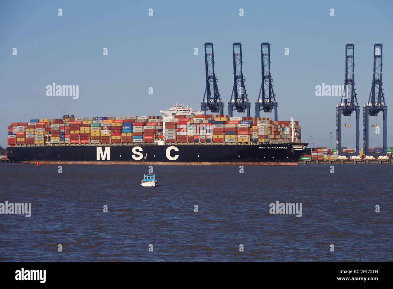 Container ship MSC Alexandra docking at the Port of Felixstowe, Suffolk ...