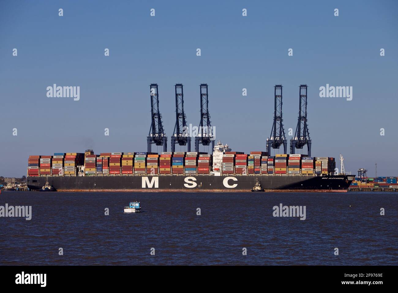 Container ship MSC Alexandra docking at the Port of Felixstowe, Suffolk ...