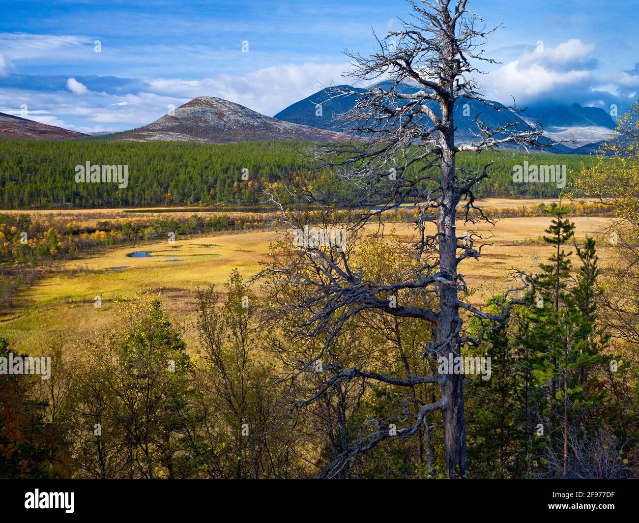 Europe, Norway, Hedmark, Rondane National Park, moorland with lakes in ...