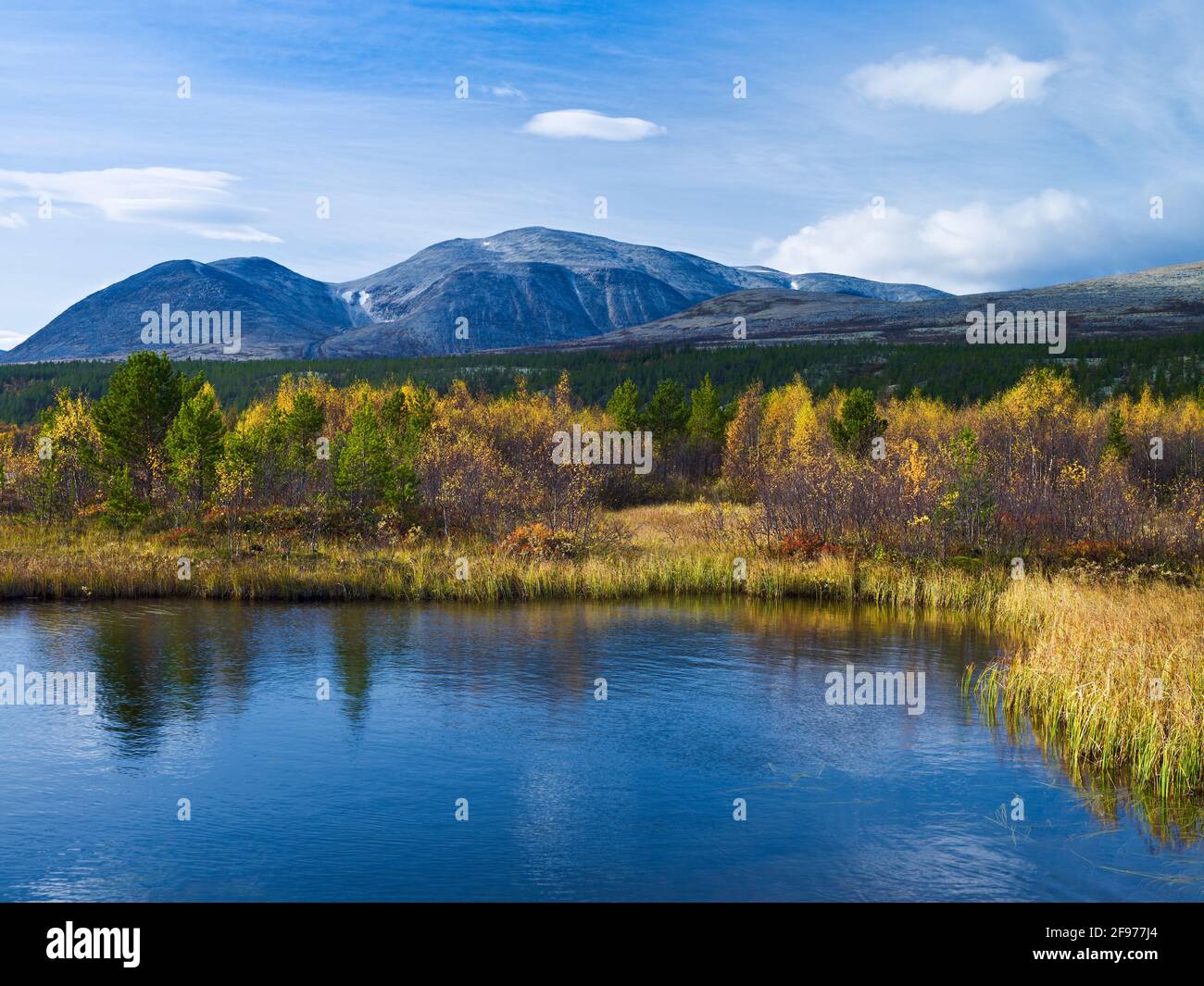 Europe, Norway, Hedmark, Rondane National Park, moorland with lakes in ...