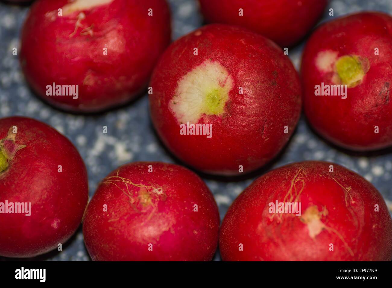 Healthy dietary plan hi-res stock photography and images - Alamy