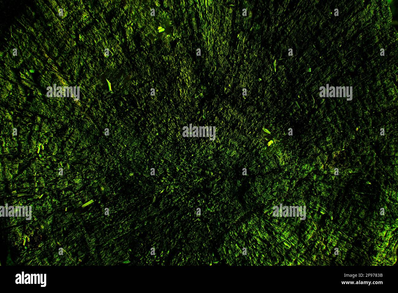 Background texture. Abstract background of dark green color Stock Photo ...