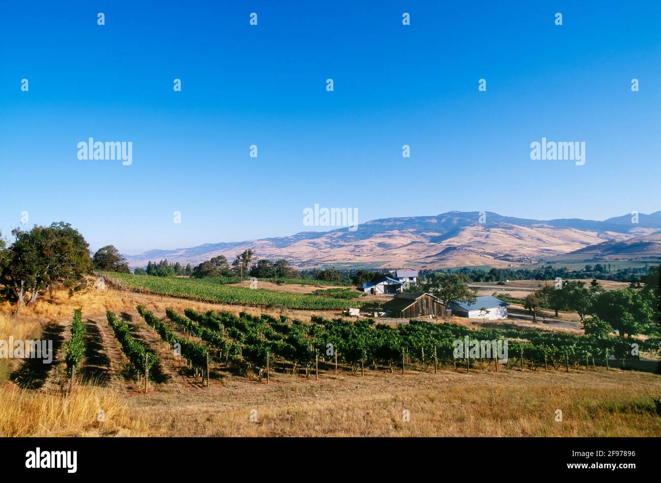 Weisinger hi-res stock photography and images - Alamy