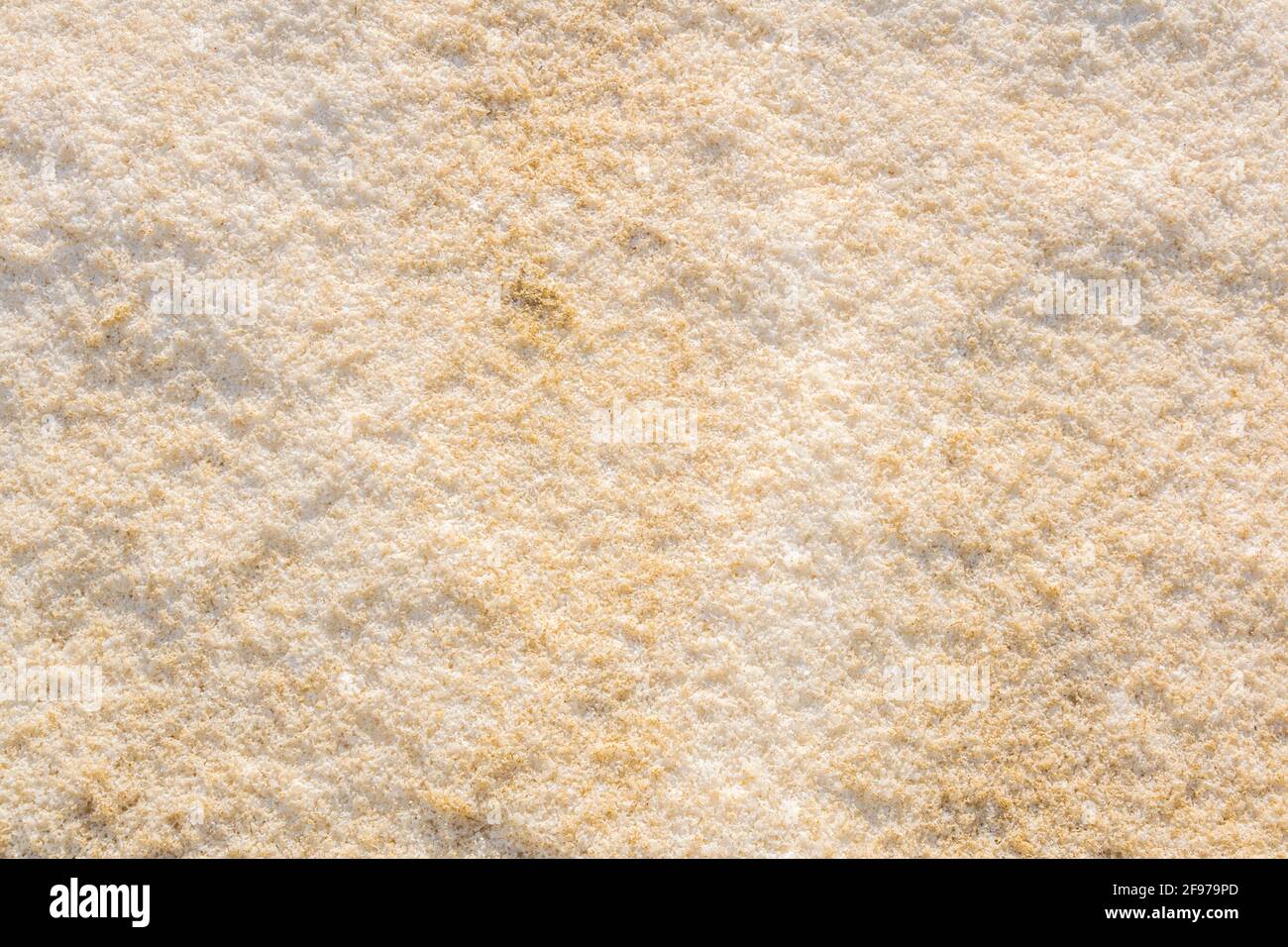 Detail of a salt crust in the saline di Trapani, Sicily, Italy Stock ...