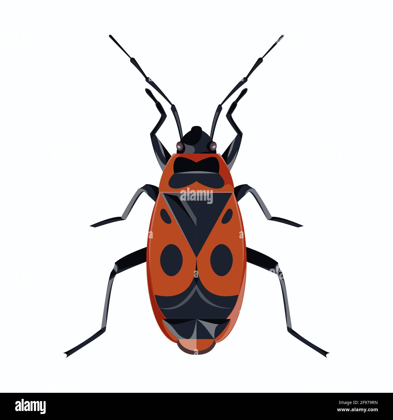 Red soldier beetle Stock Vector Images - Alamy