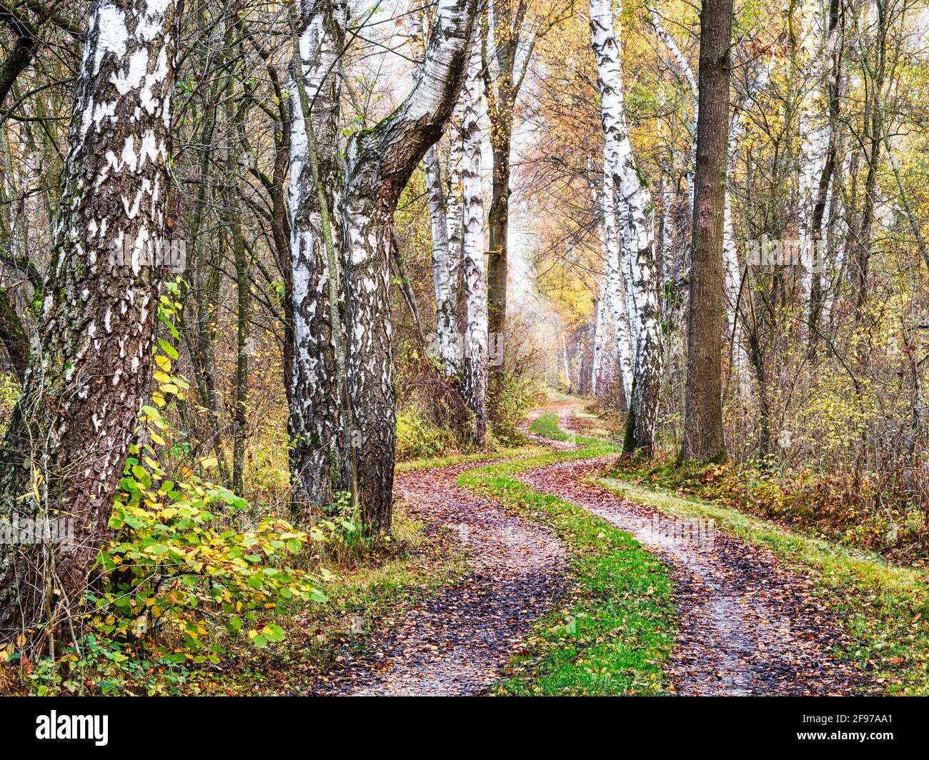 Pathway between water hi-res stock photography and images - Alamy
