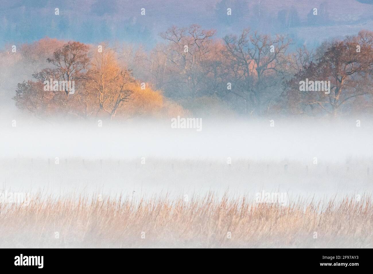 Morning mist at Loch Lomond and the Trossachs National Park, and Loch ...