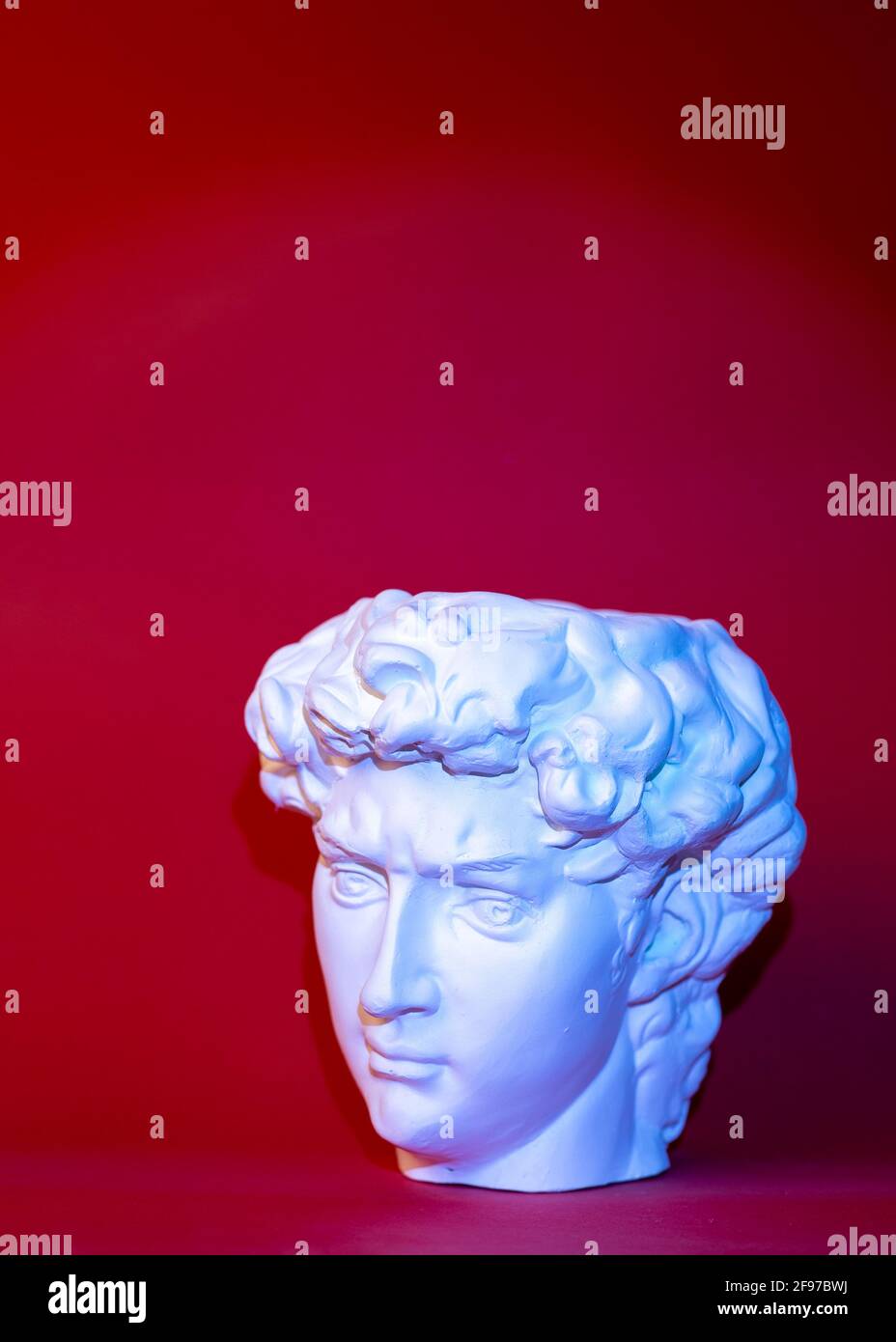 Gypsum statue of David's head. Michelangelo's David statue plaster copy Stock Photo - Alamy