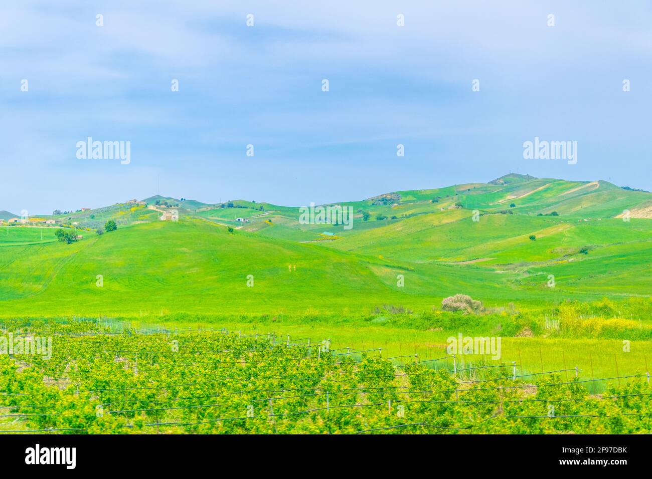 nature in the central Sicily, Italy Stock Photo - Alamy