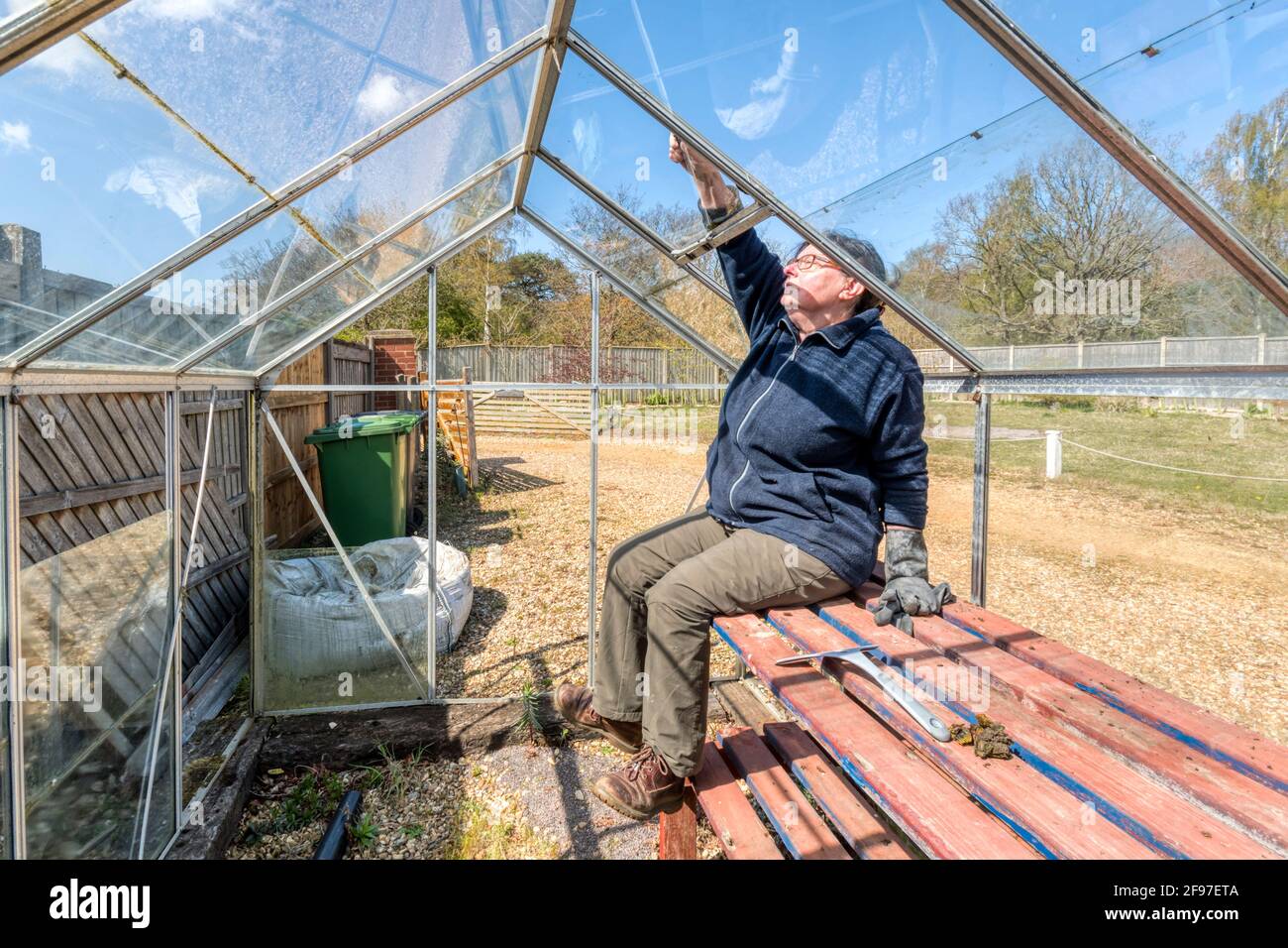 Woman renovating an old greenhouse. Washing, cleaning & disinfecting ...