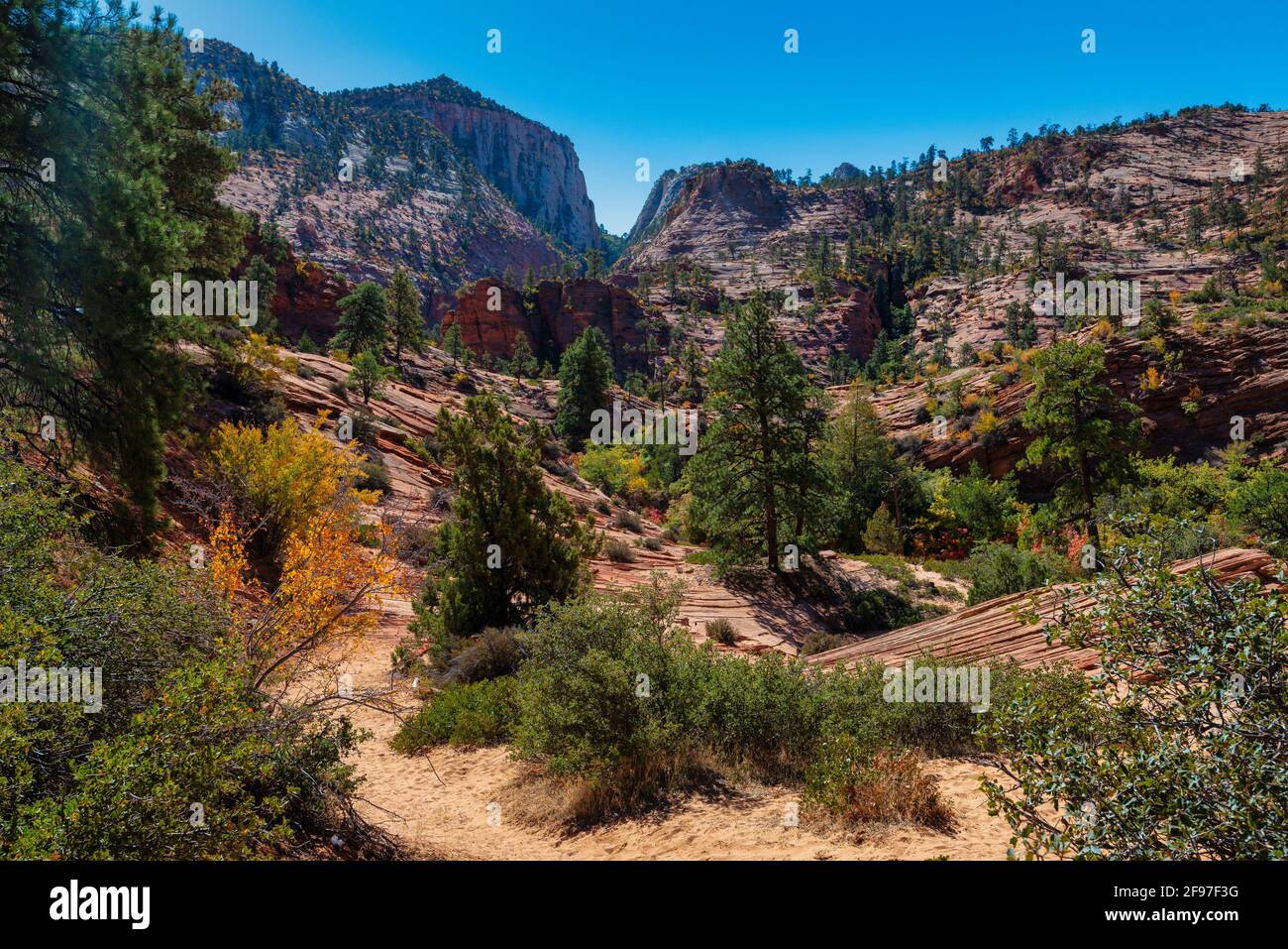 USA, Utah, Washington County, Springdale, Zion National Park, Mount ...