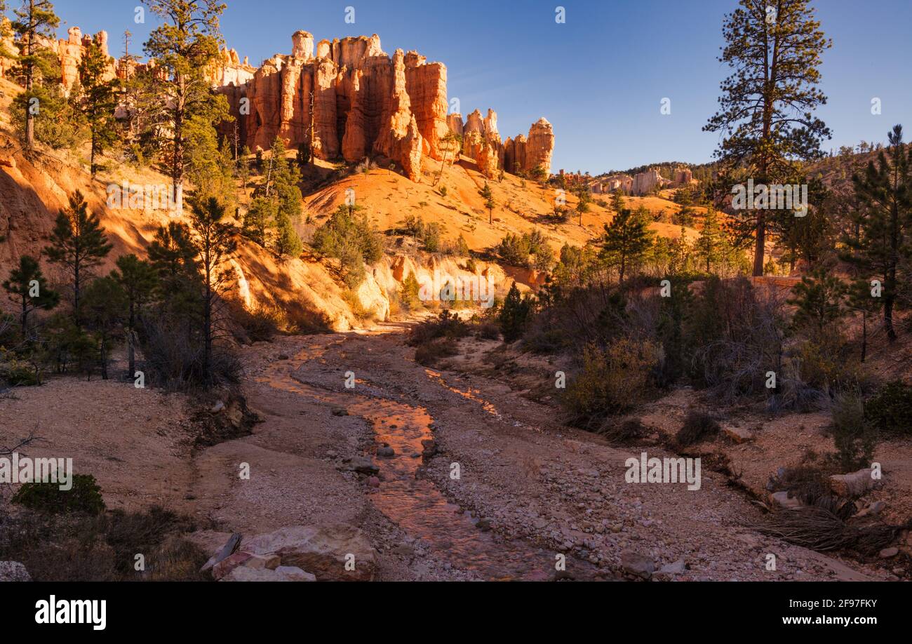 Tropic Ditch, Mossy Cave Hiking Trail in Bryce Canyon National Park ...