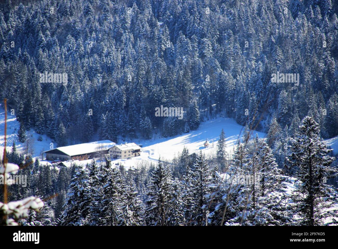 Chapel in the forest in winter hi-res stock photography and images - Alamy