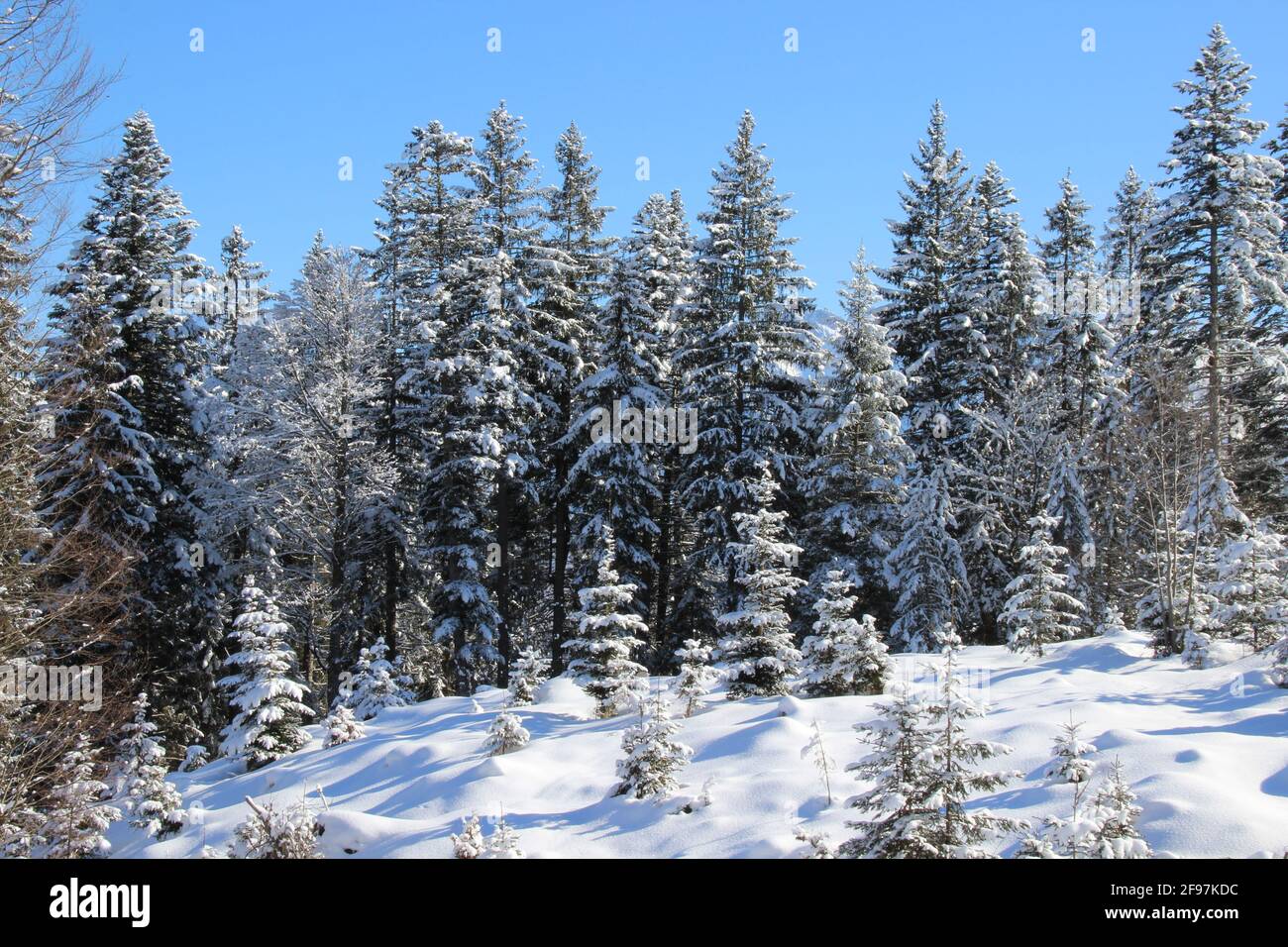 Snowy landscape on the wamberger ridge hi-res stock photography and ...