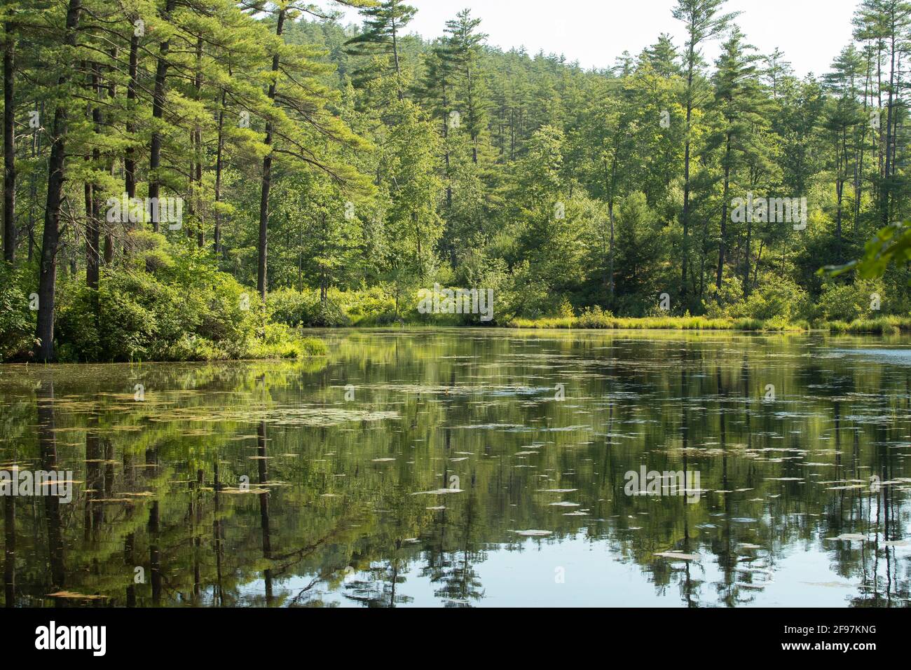 With over 10,000 acres, Bear Brook is New Hampshire's largest developed ...