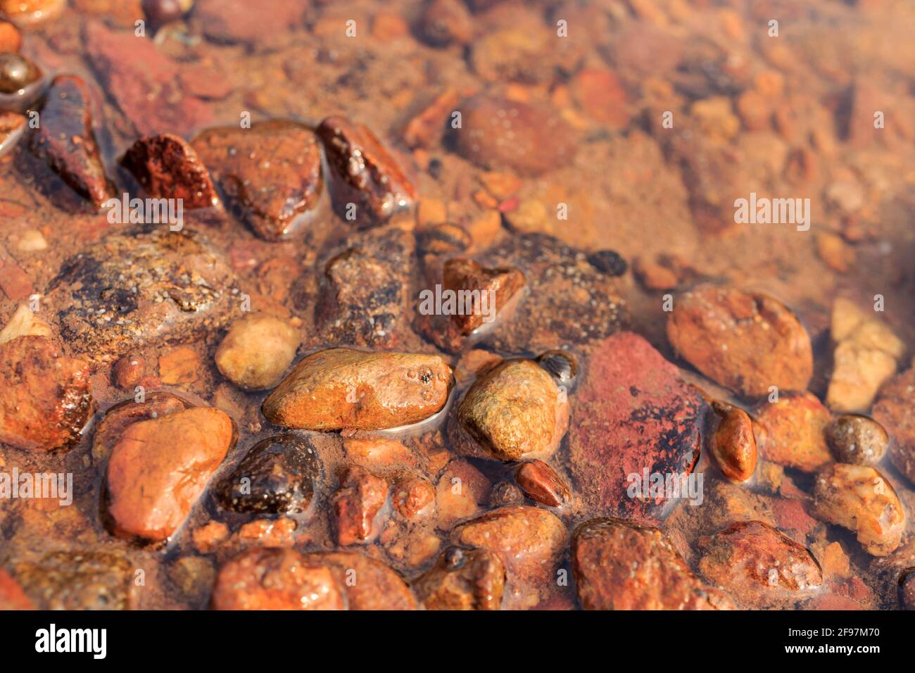 Wet rocks in clear shallow water Stock Photo - Alamy
