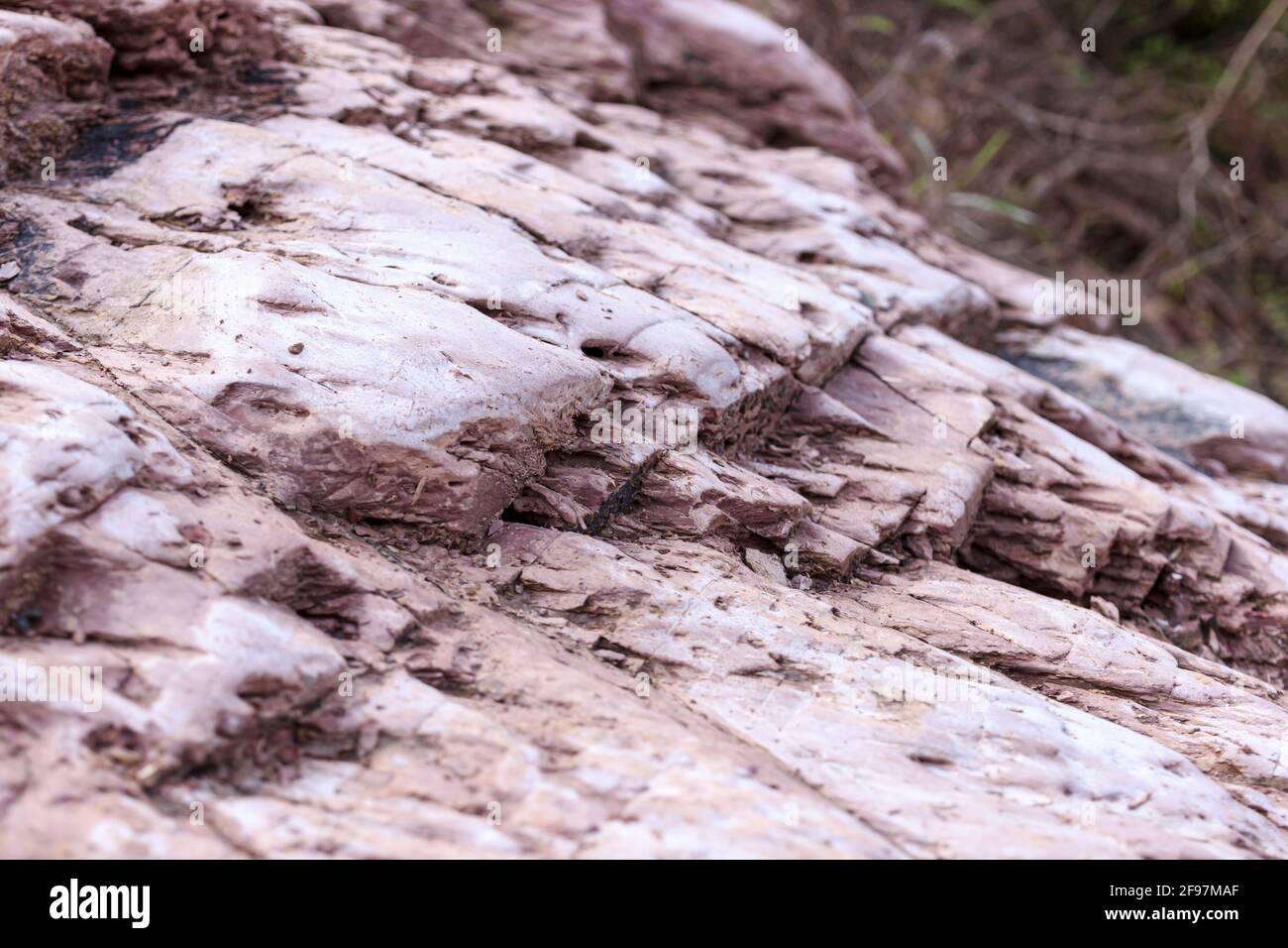 Fragile rocks that is pink in color because of oxidized iron minerals ...