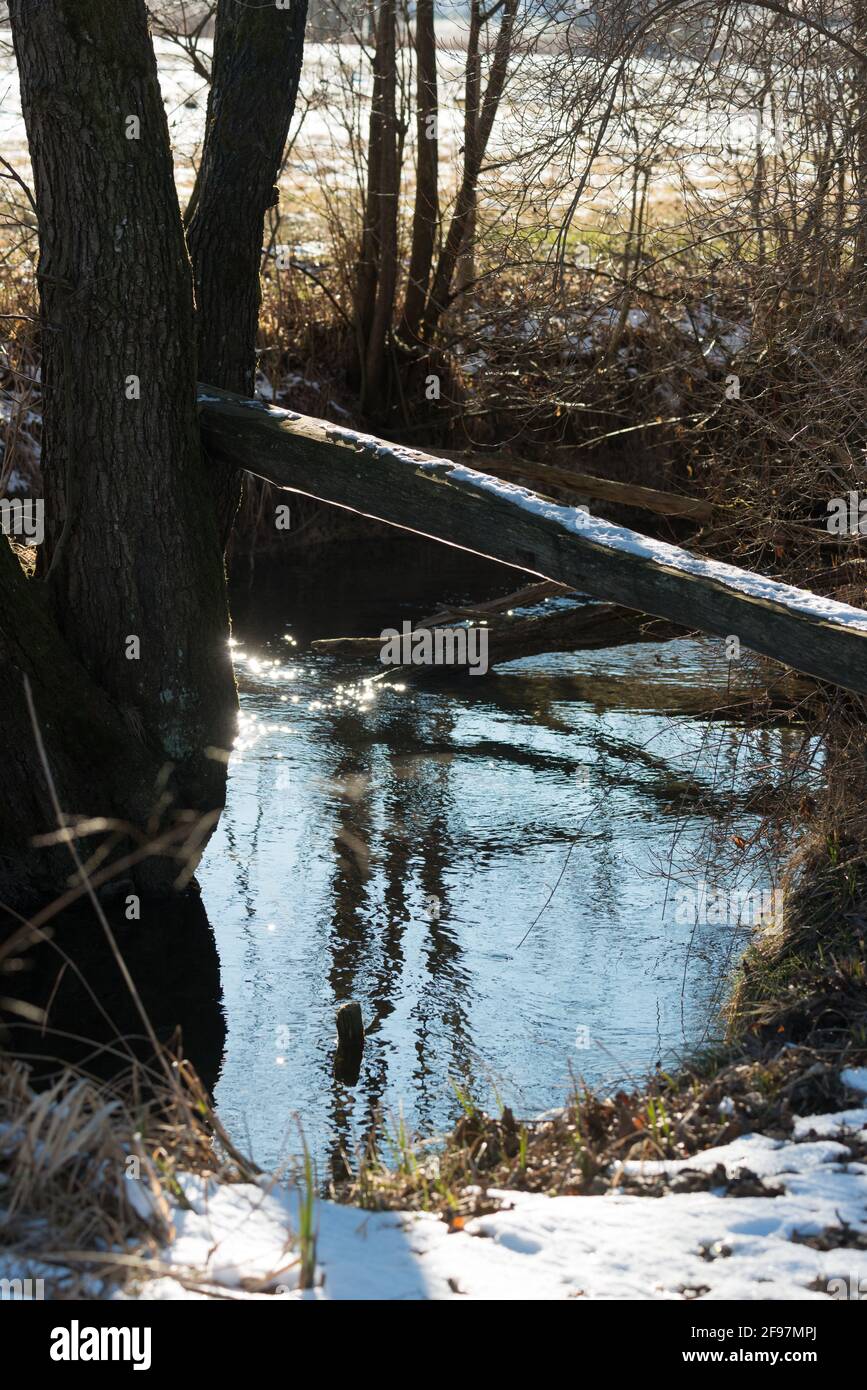 Winter, weather, Bavaria, Waging, lake Tachinger See, Rupertiwinkel ...