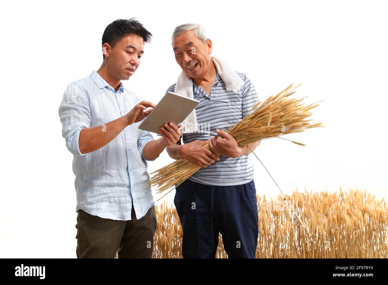 Communication technology researchers and farmers Stock Photo - Alamy