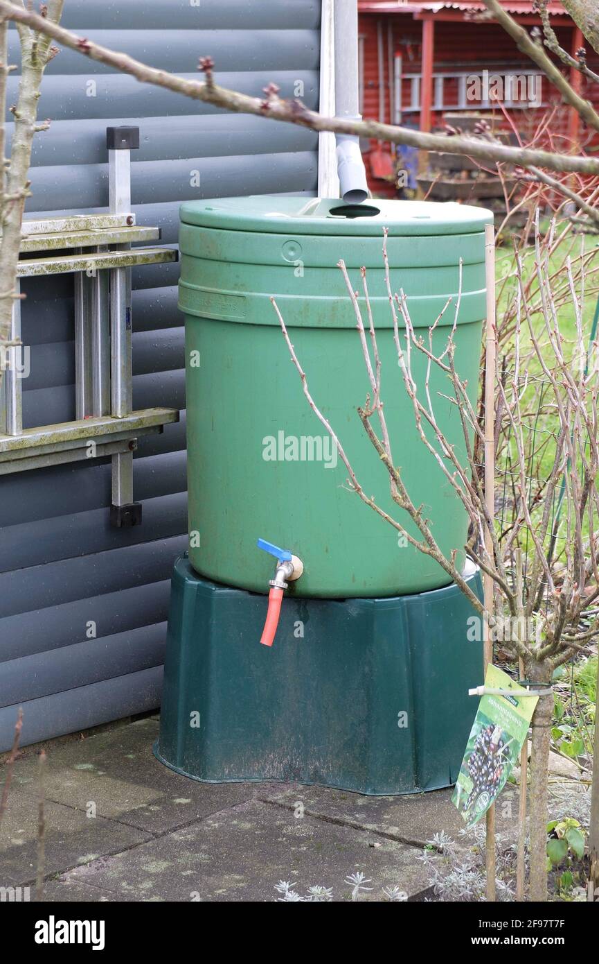 Green rain barrel on the shed Stock Photo - Alamy