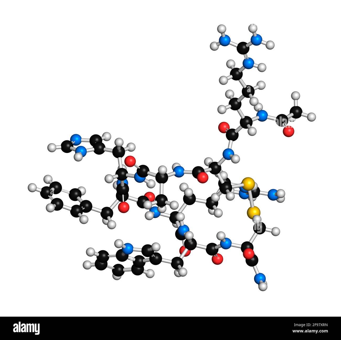 Setmelanotide drug molecule, illustration Stock Photo - Alamy