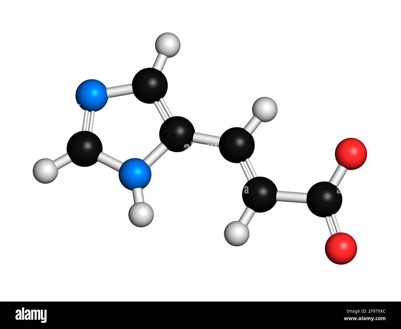 Urocanate hydratase hi-res stock photography and images - Alamy