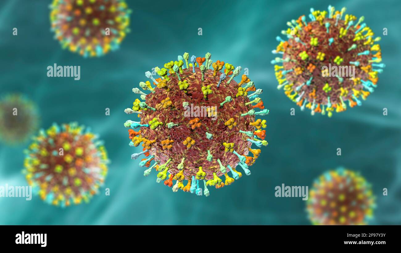 Hendra virus hi-res stock photography and images - Alamy