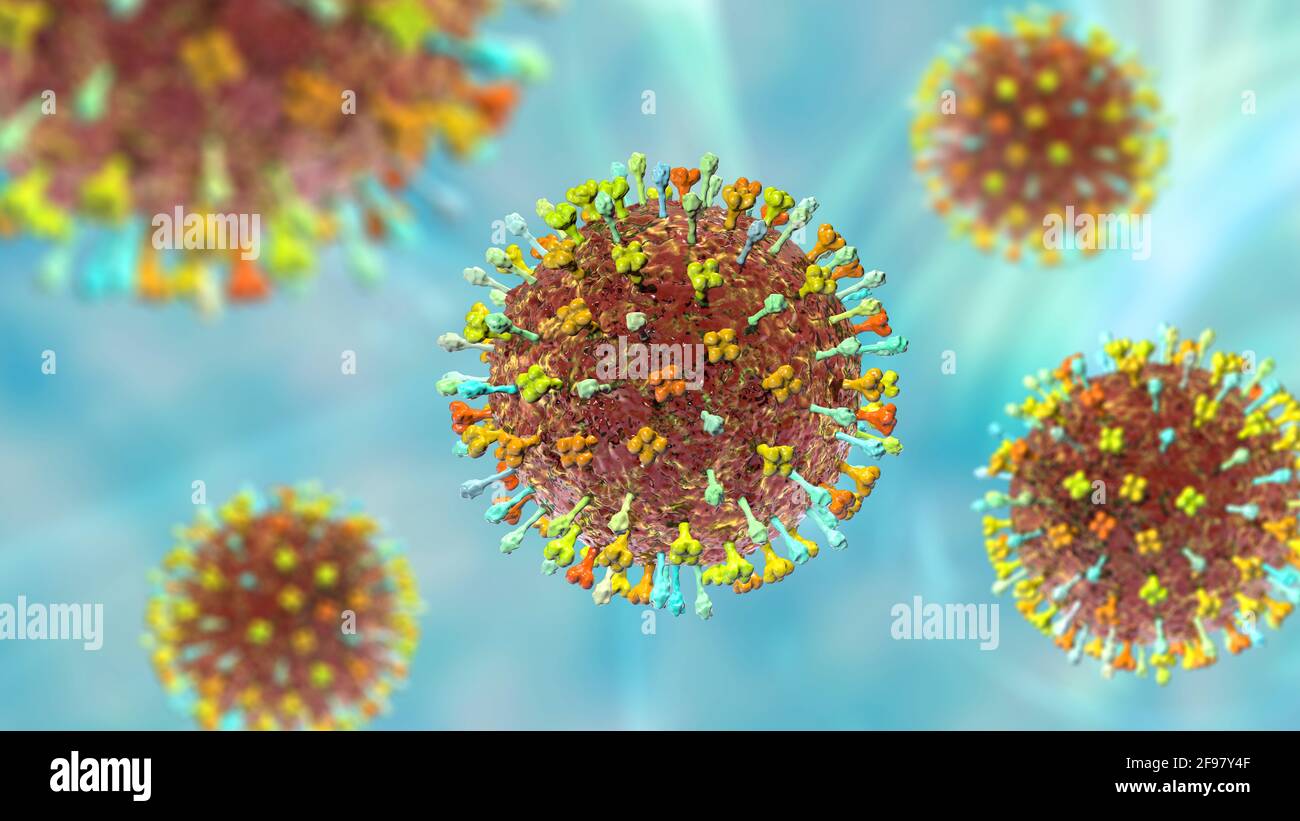 Hendra virus, illustration Stock Photo - Alamy