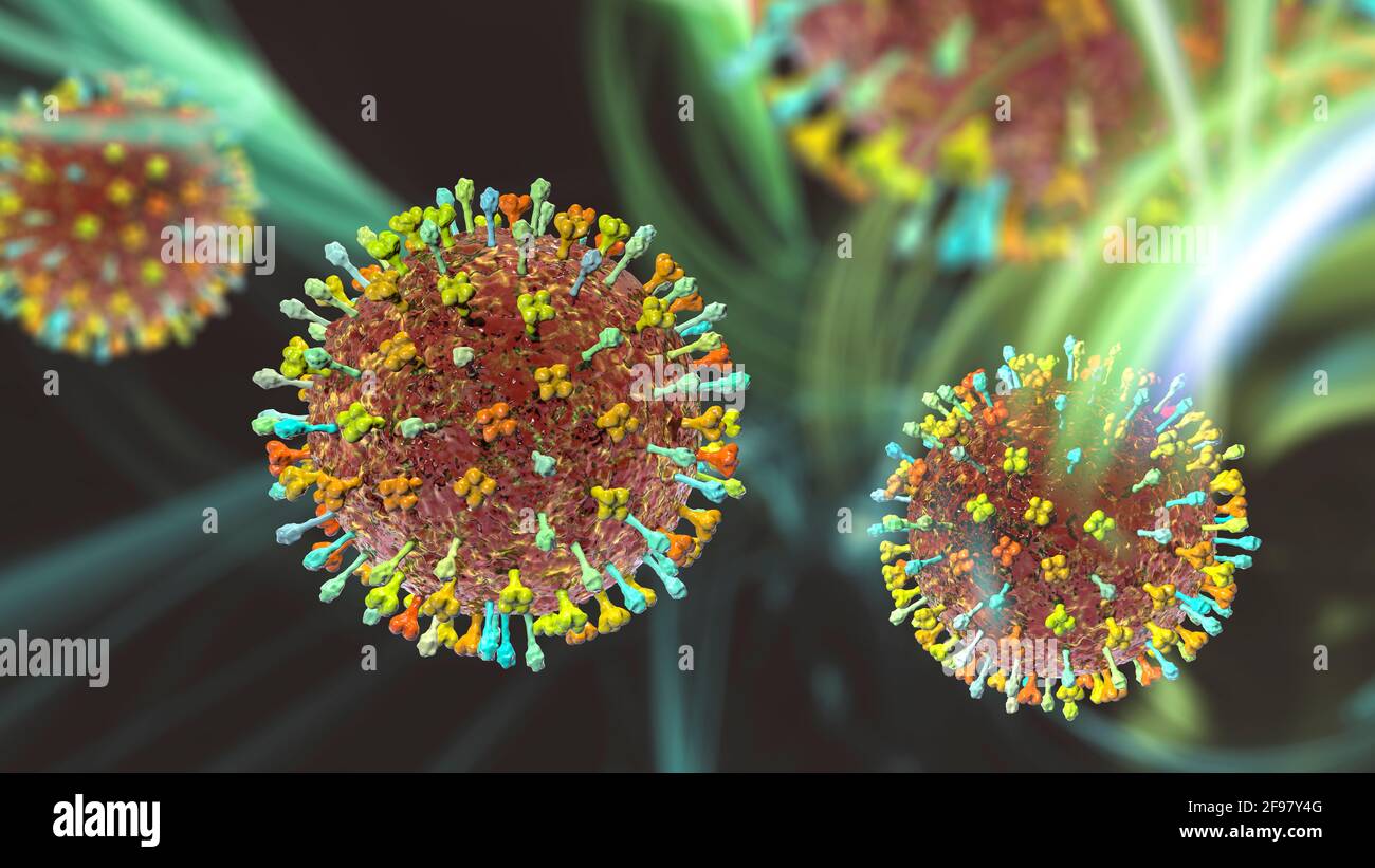 Hendra virus, illustration Stock Photo - Alamy