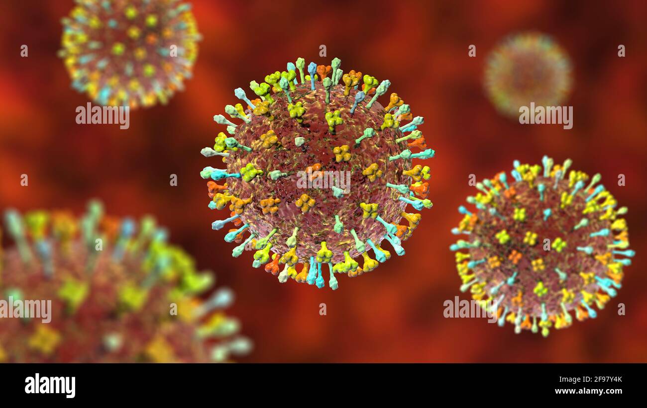 Hendra virus, illustration Stock Photo - Alamy