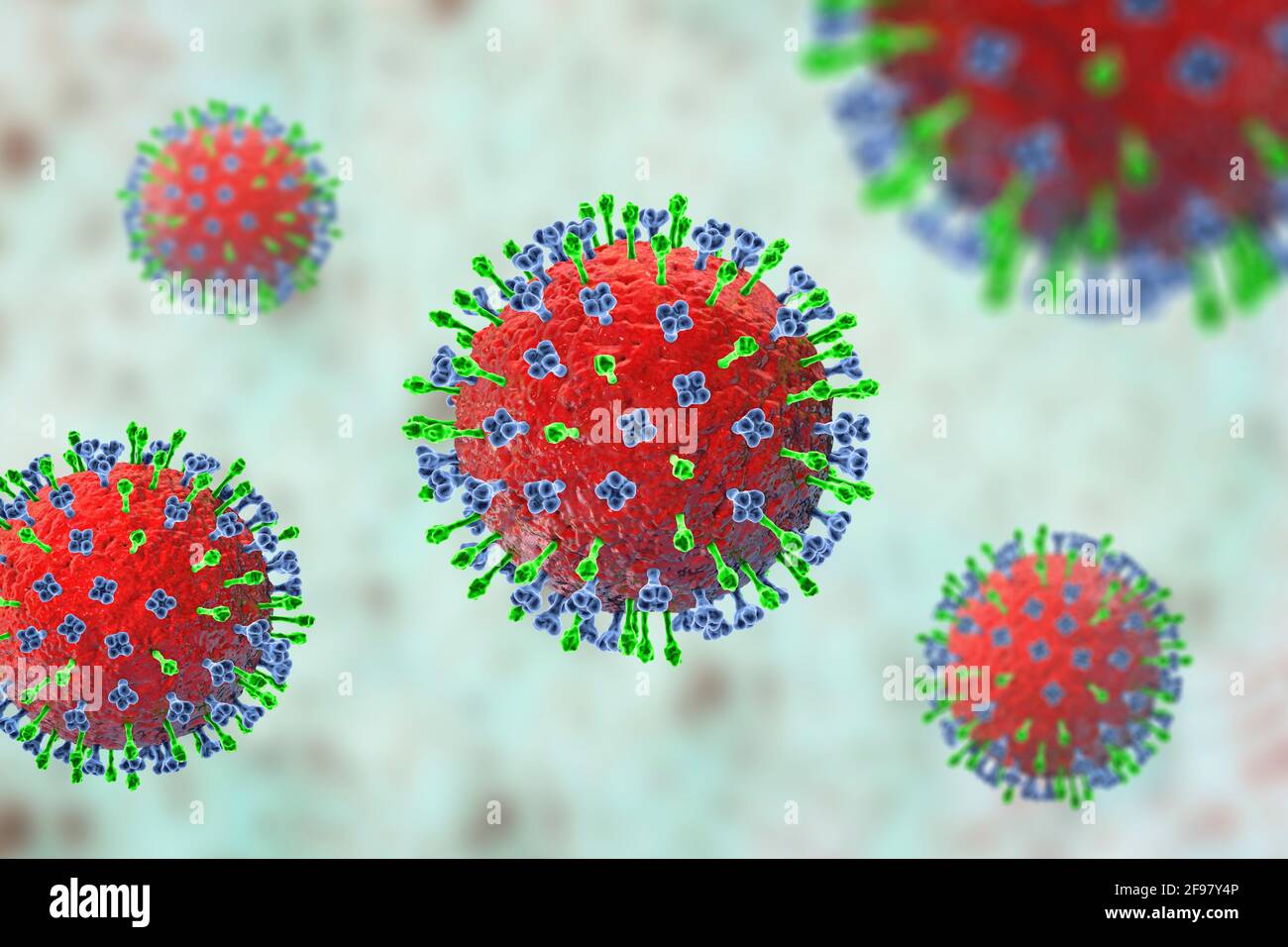Hendra virus hi-res stock photography and images - Alamy