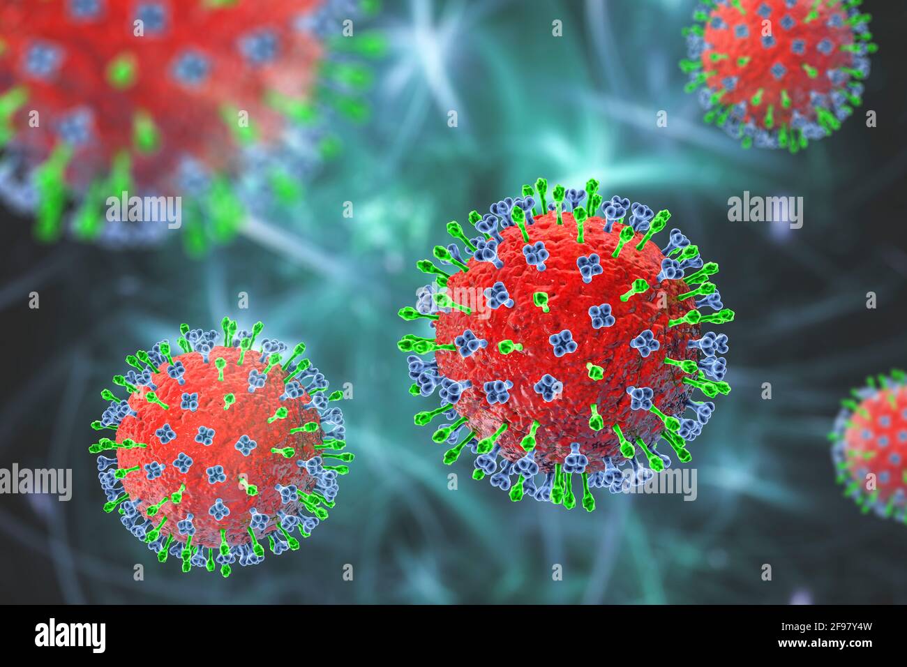 Hendra virus infection hi-res stock photography and images - Alamy