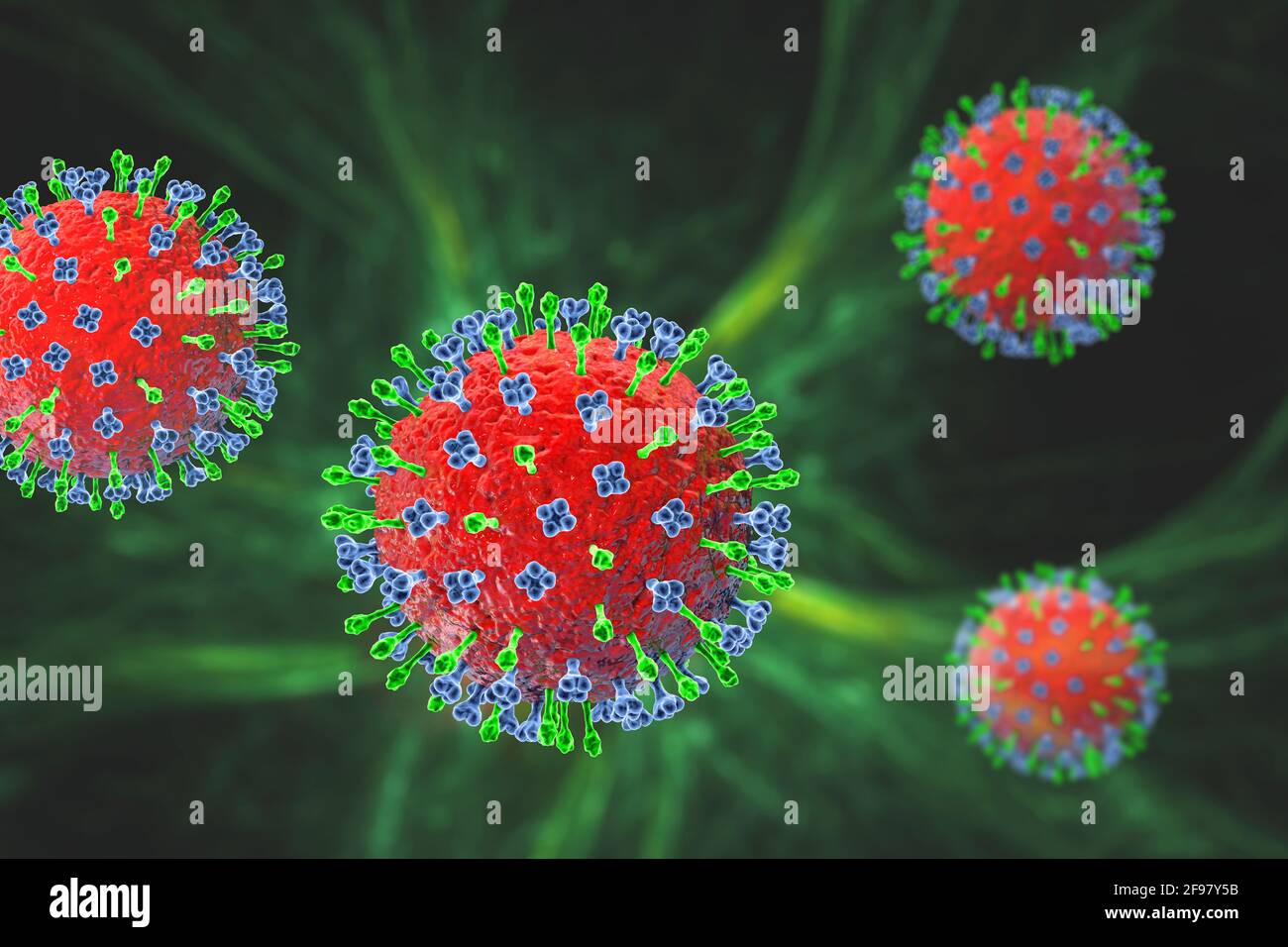Hendra virus, illustration Stock Photo - Alamy