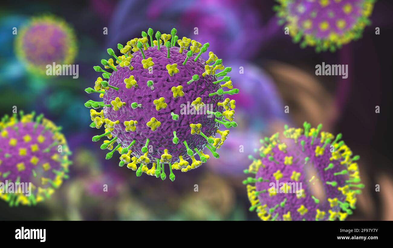 3d illustration organism hi-res stock photography and images - Alamy