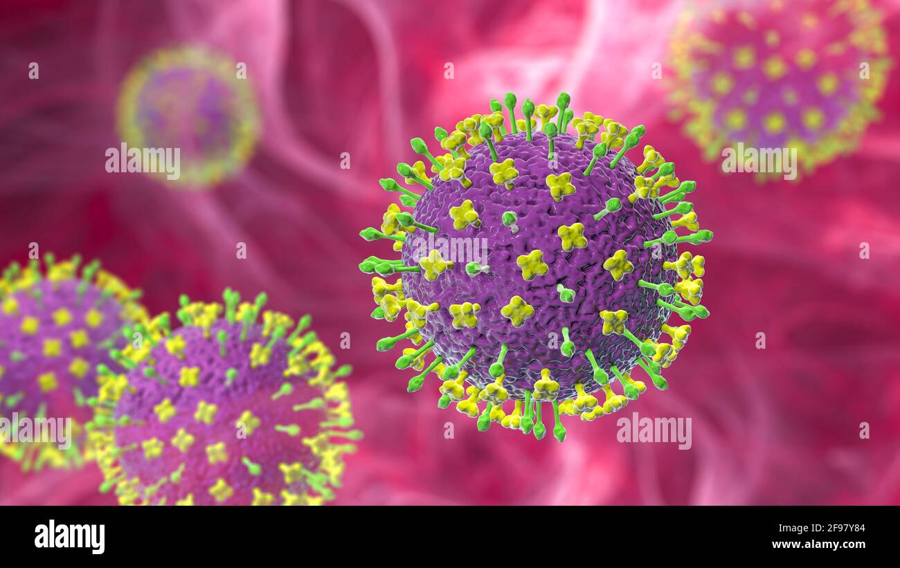 Nipah virus particles, illustration Stock Photo - Alamy