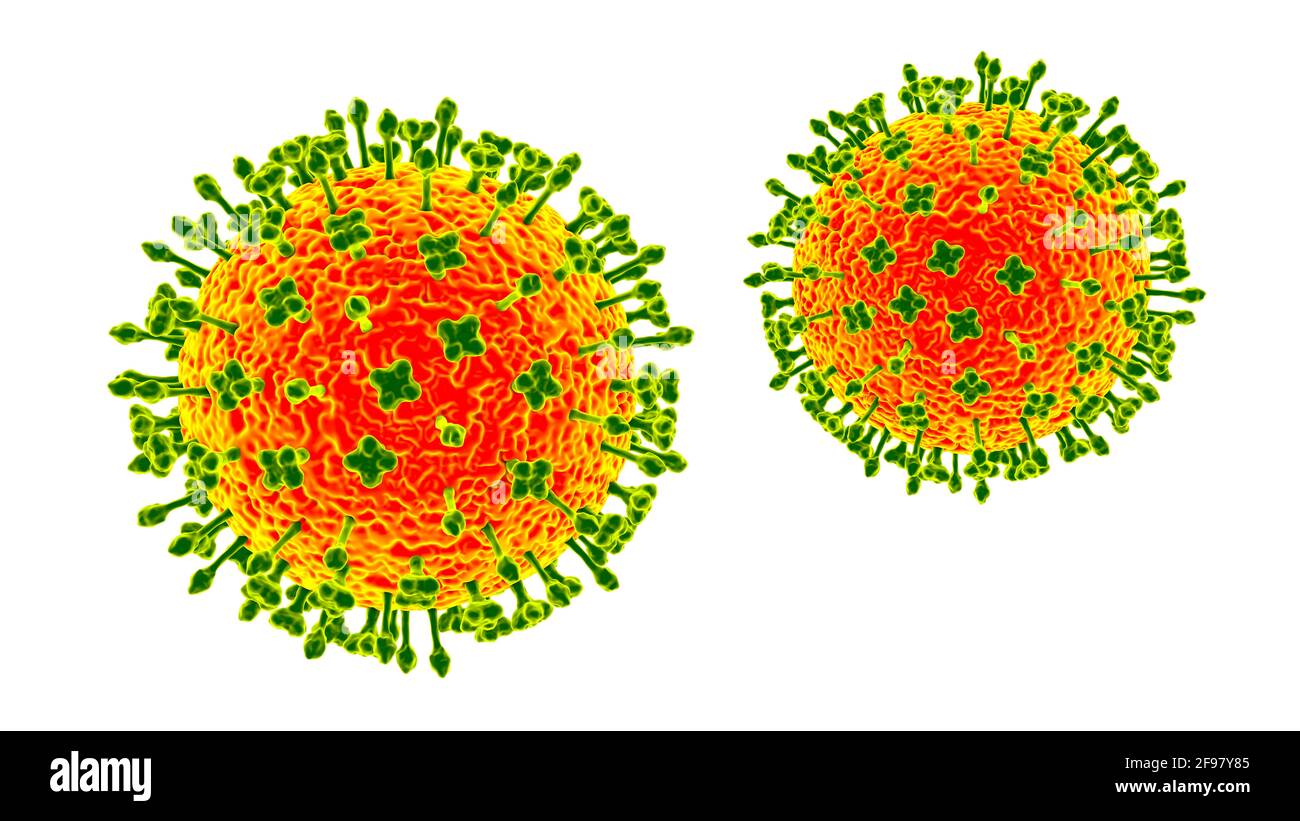 Micro organism Cut Out Stock Images & Pictures - Alamy