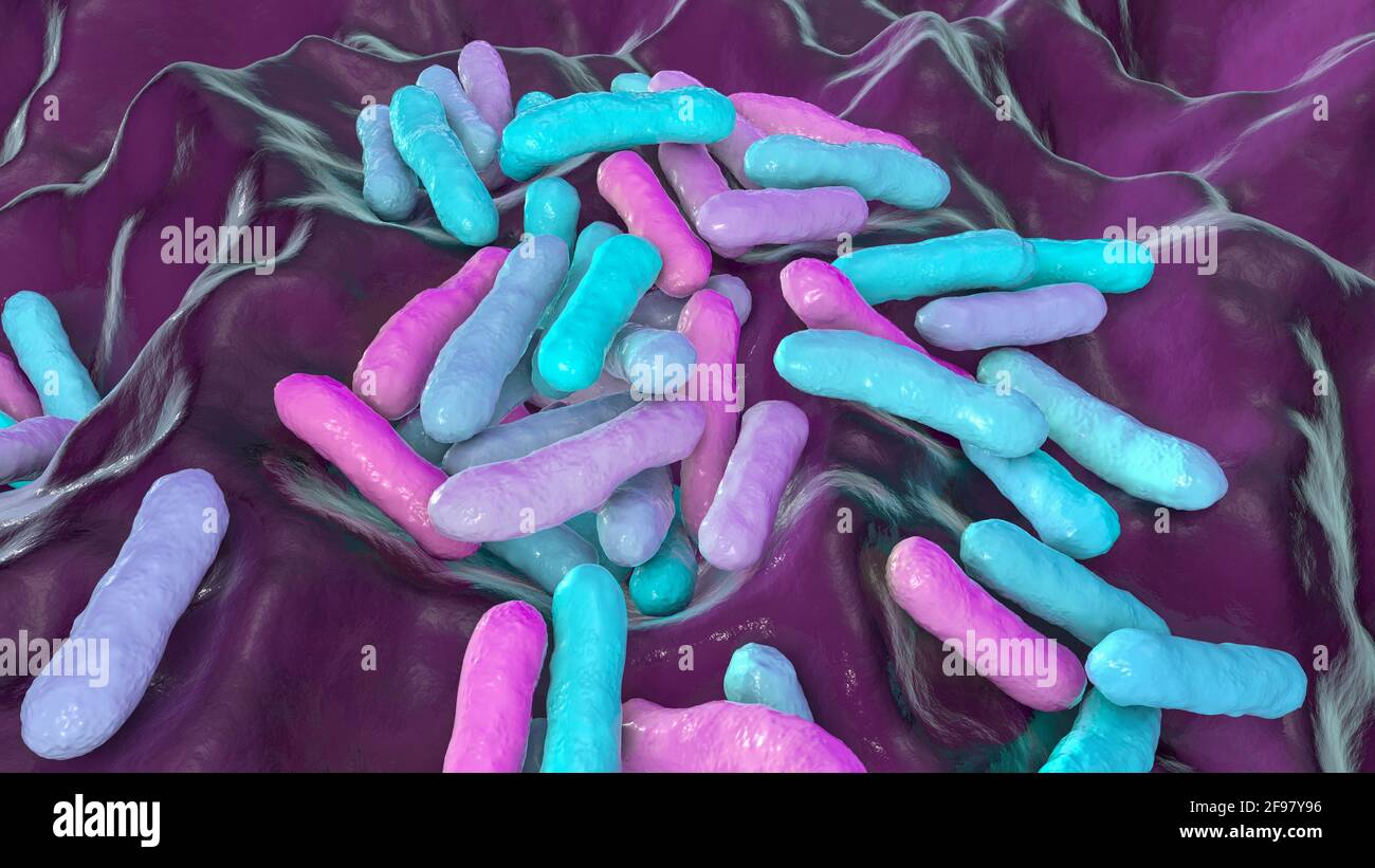 Acnes Bacteria High Resolution Stock Photography and Images - Alamy