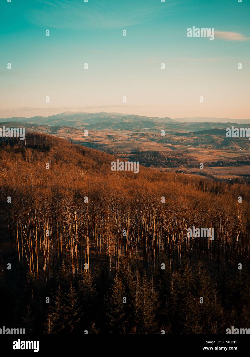 Vertical shot of hills covered in forests under the sunlight during the ...