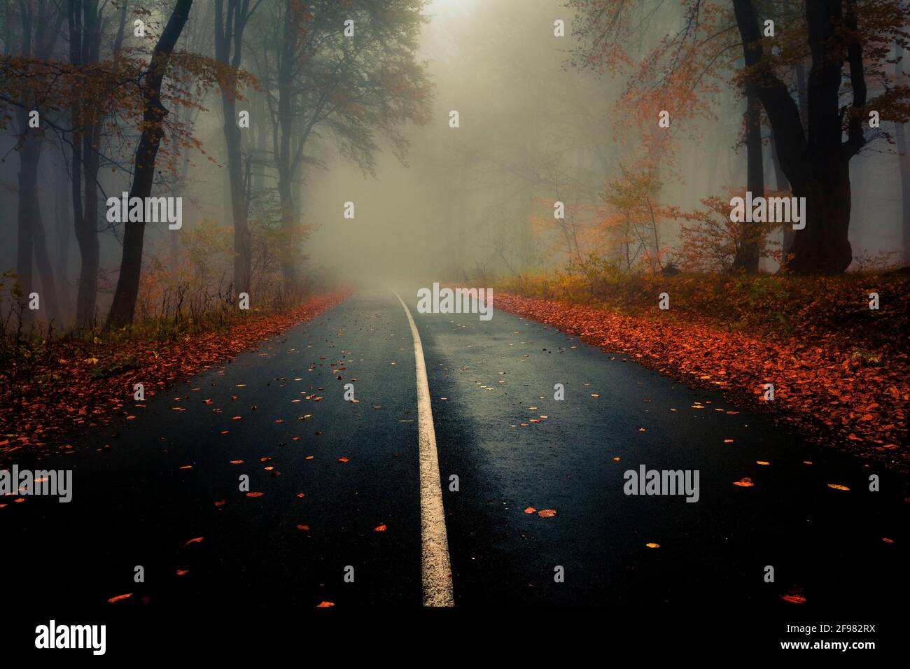 Road vanishing in the mist Stock Photo - Alamy