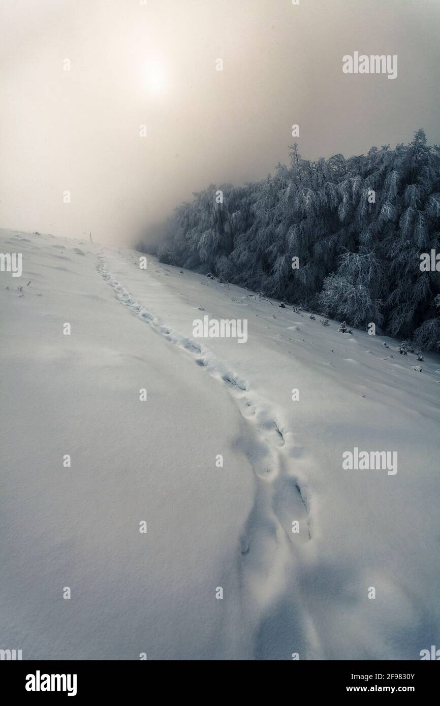 Steps In the Snow - Blizzard in the mountain Stock Photo - Alamy