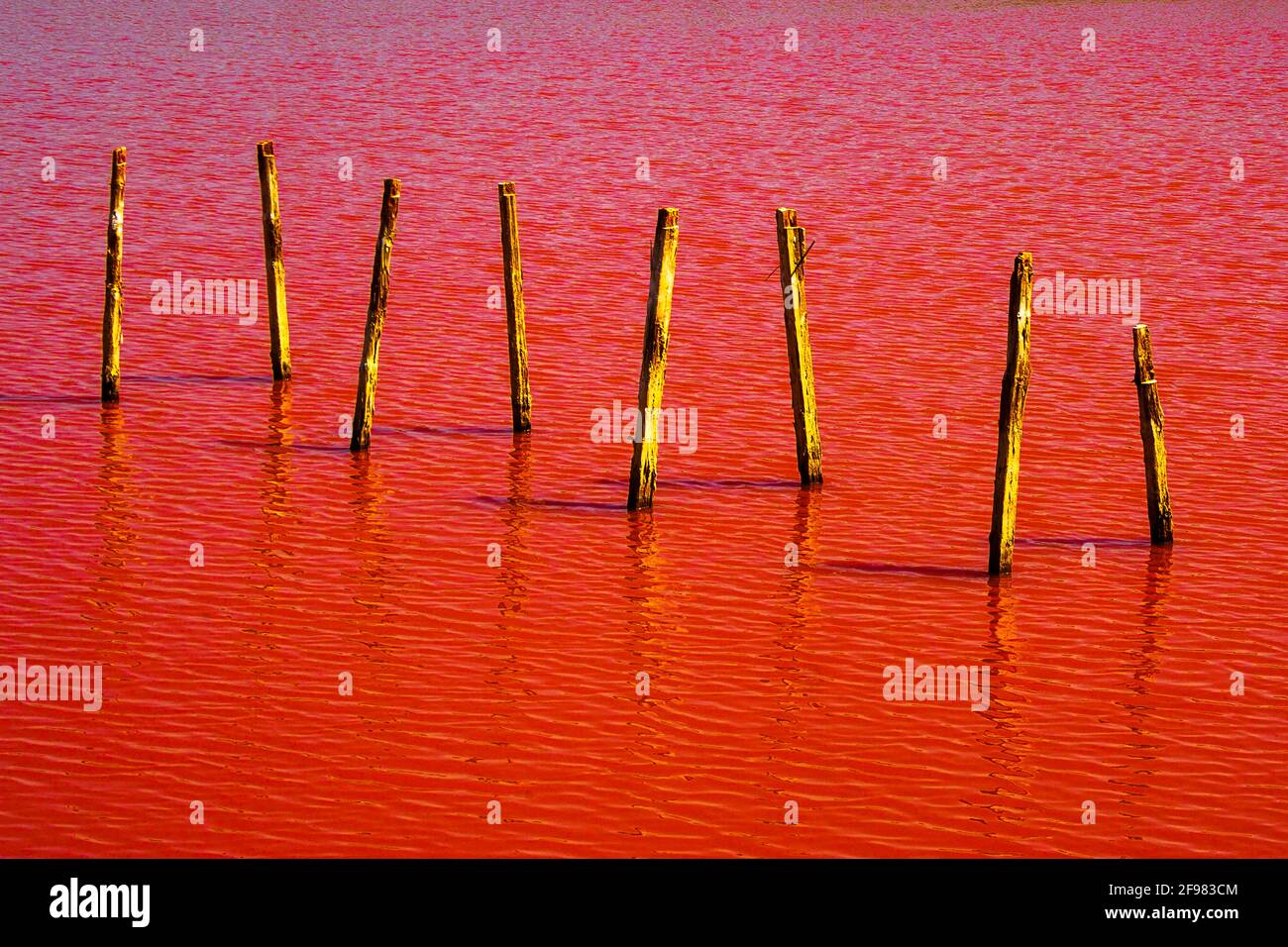 Log font hi-res stock photography and images - Alamy