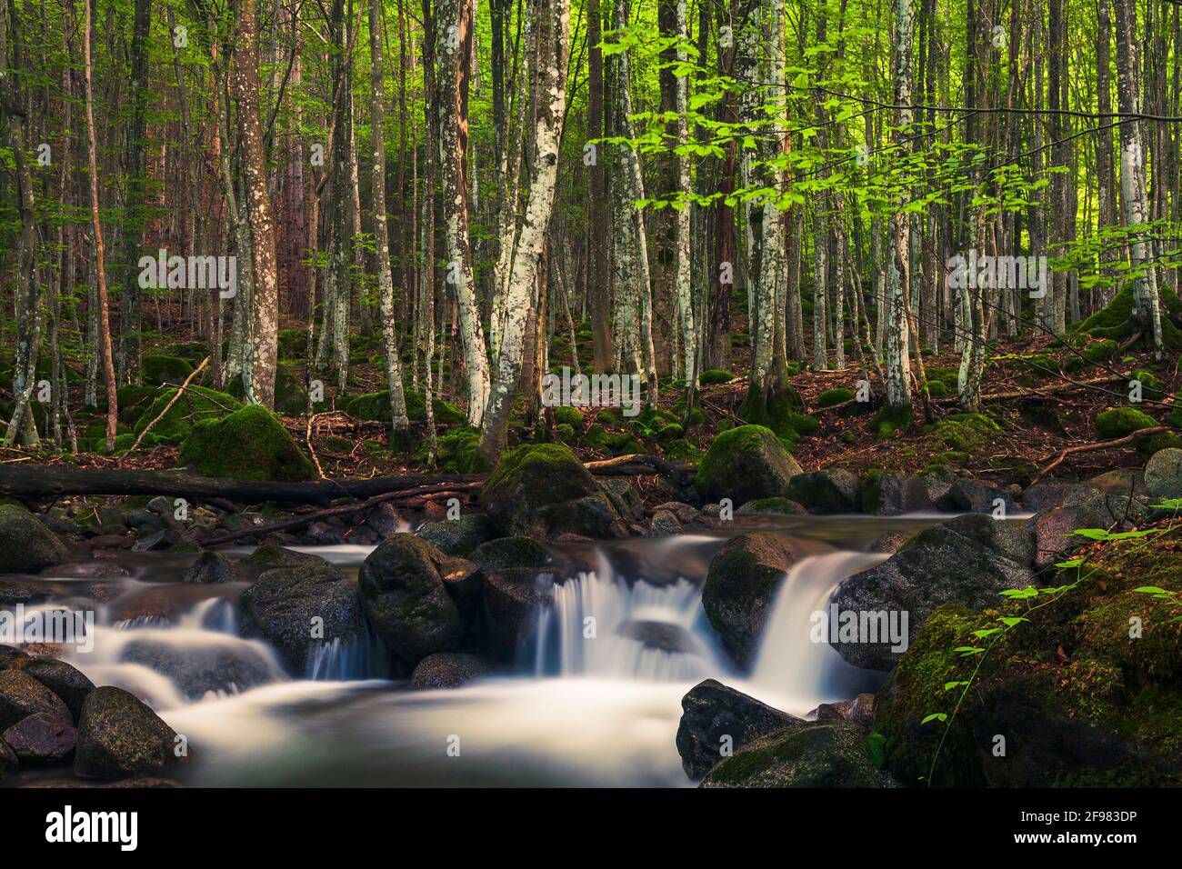 Water riffles hi-res stock photography and images - Alamy