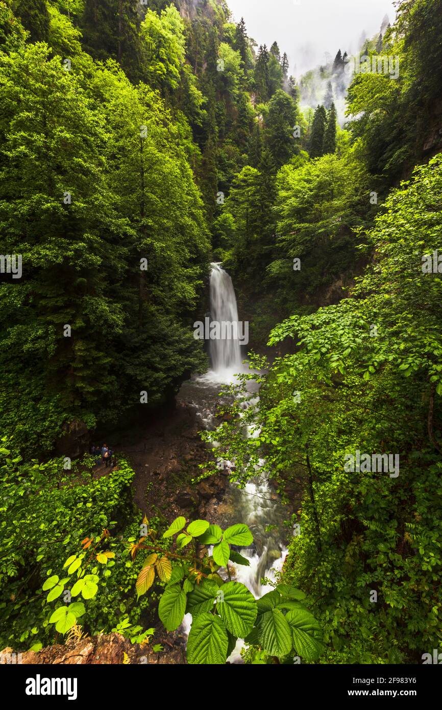 Palovit Waterfall - Waterfall abounding in water in a forest Stock ...