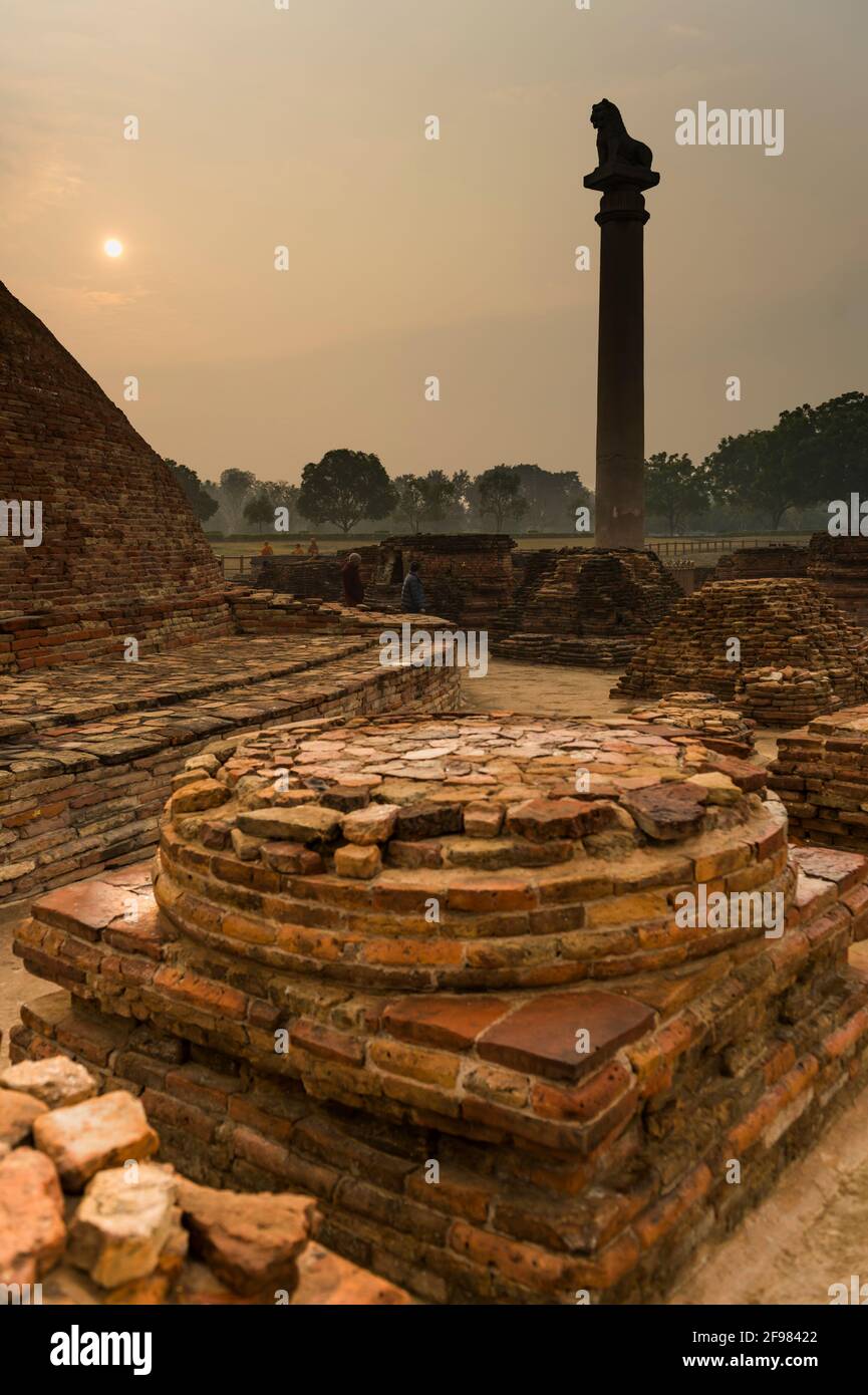 India, Vaishali, Ashoka stone pillar Stock Photo - Alamy
