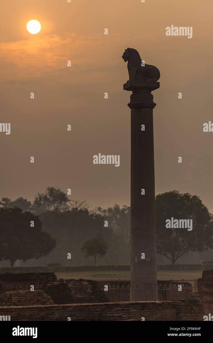 Ashoka architecture hi-res stock photography and images - Alamy