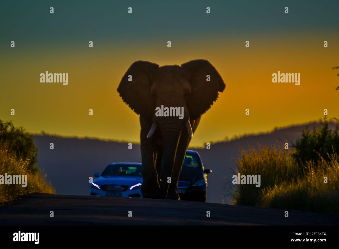 African roadblock hi-res stock photography and images - Alamy