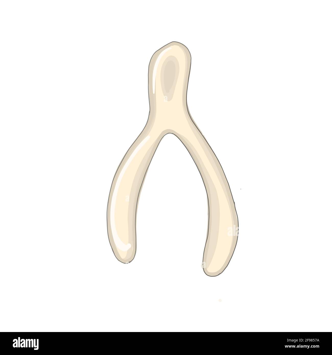 Vector illustration of wishbone in flat style Stock Vector Image & Art ...