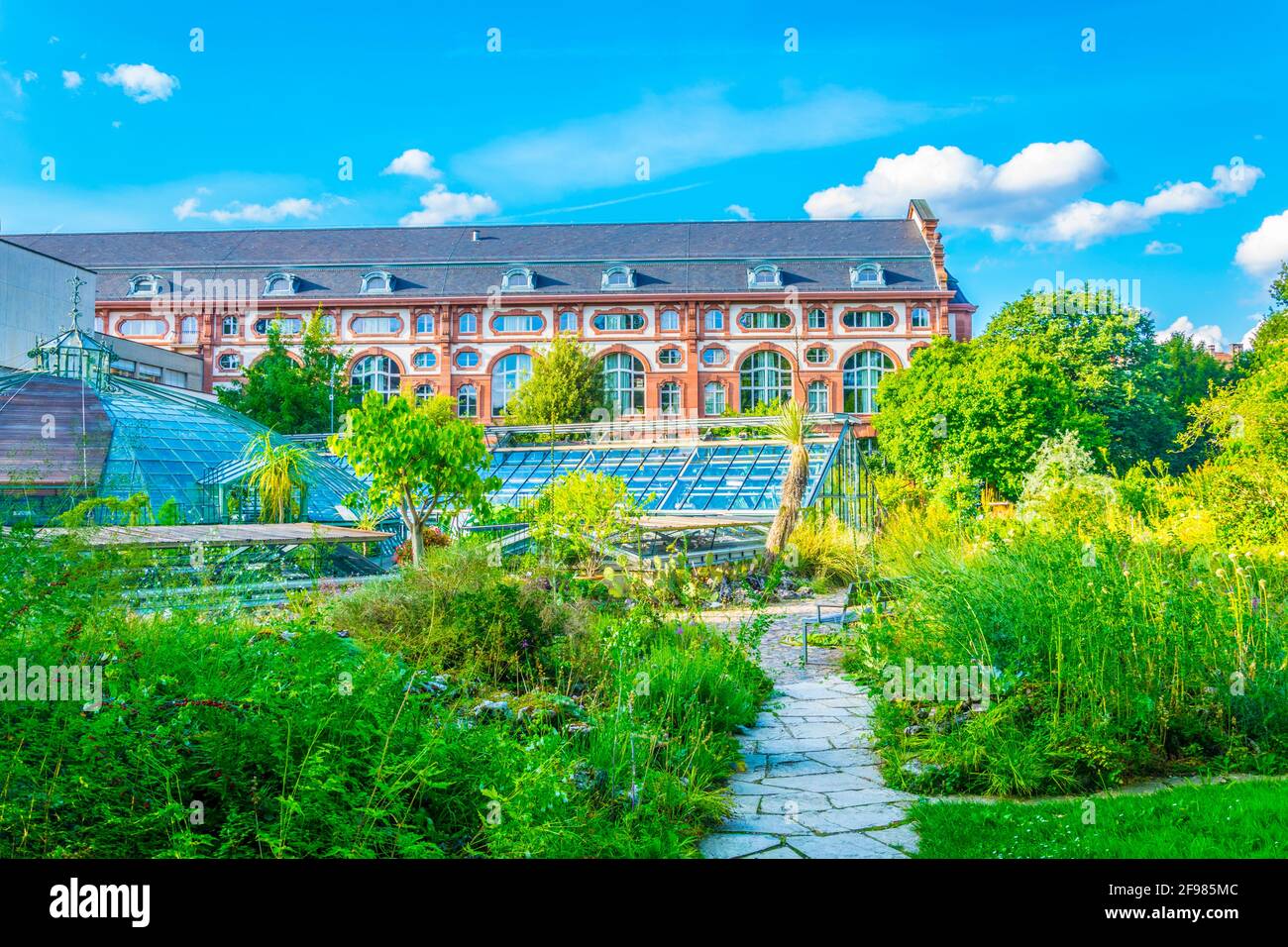 Botanical garden in Basel, Switzerland Stock Photo - Alamy